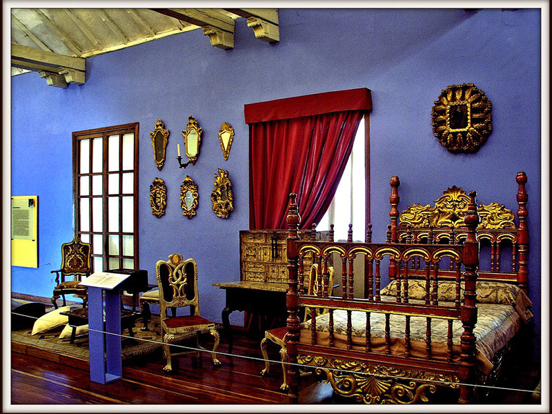 The use of the aliso tree in the andes – Opf